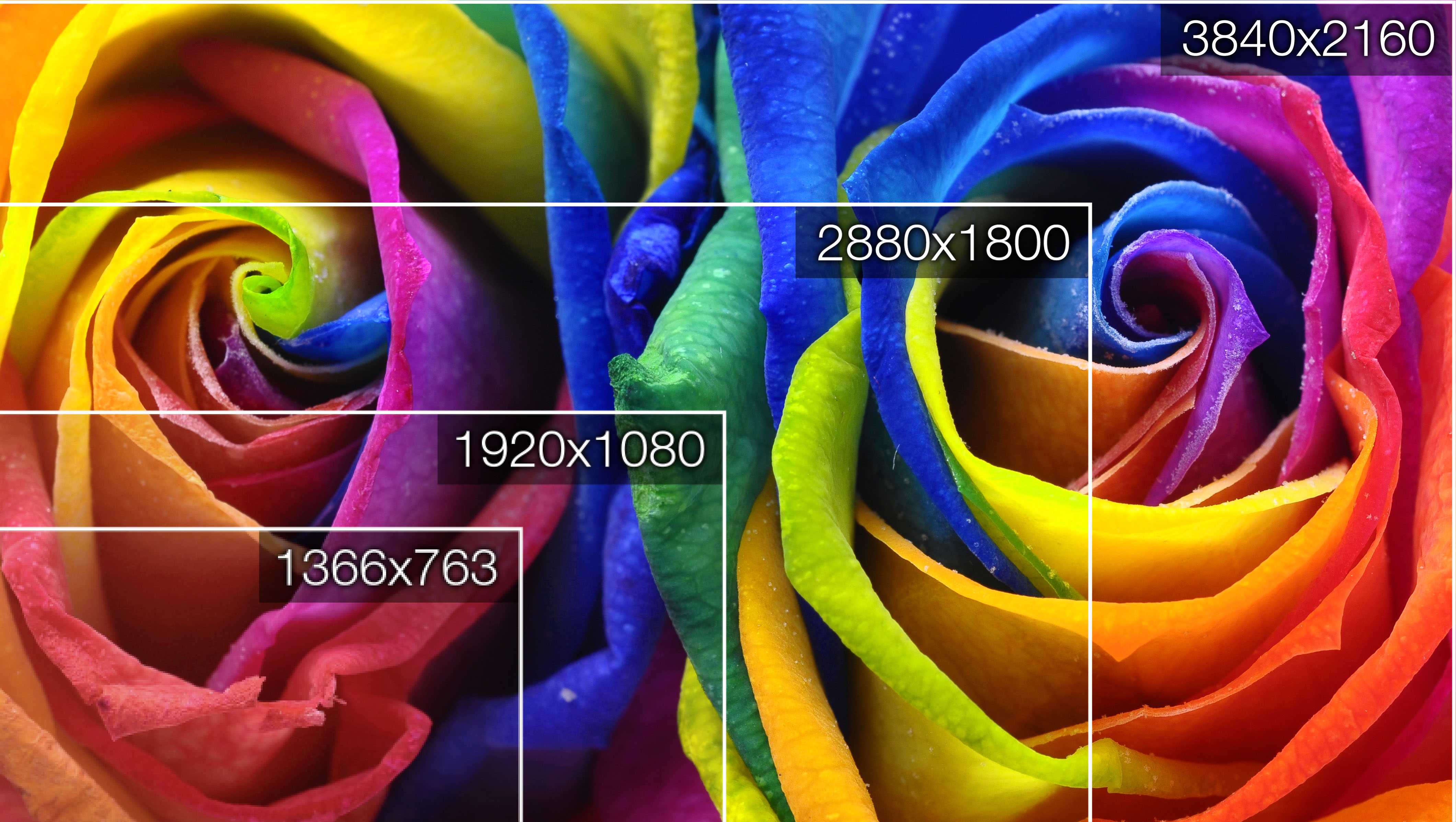 What is the 4K? – North Star News What is the 4K? – North Star News